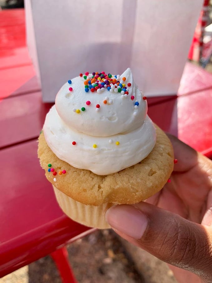 Sprinkles aren't just for kids—they're tiny, colorful reminders that joy comes in small packages. This vanilla cupcake practically whispers, "Go ahead, you deserve me."