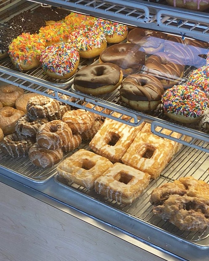 A donut display case that belongs in the Louvre. Each shelf a gallery of edible art, from rainbow sprinkles to chocolate glazed masterpieces.