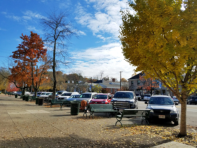 Fall transforms downtown Granville into a Norman Rockwell painting come to life. Those benches aren't just street furniture—they're front-row seats to small-town theater.