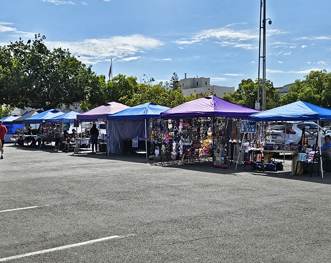 Saturday morning farmers market—where retirement schedules shine. Browse local produce without checking your watch, chat with vendors, and discover the community's true pulse.