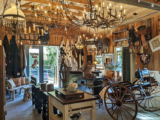This rustic wonderland could furnish a Western movie set or your dream cabin—antler chandeliers included, cowboy spirit optional.