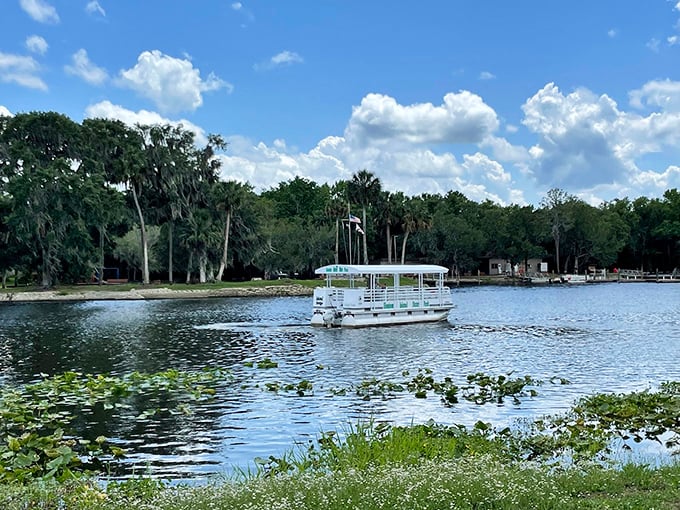 The island ferry: Florida's version of "I'm on a boat!" but with significantly fewer rap videos and significantly more wildlife spotting opportunities.