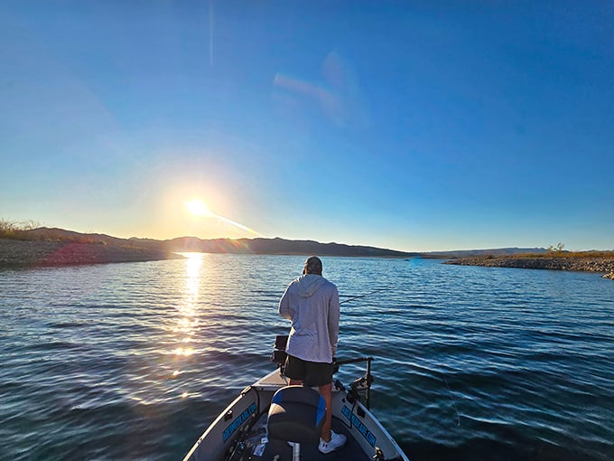 The early angler catches more than worms—they get front-row seats to nature's daily masterpiece as dawn breaks over Alamo Lake.