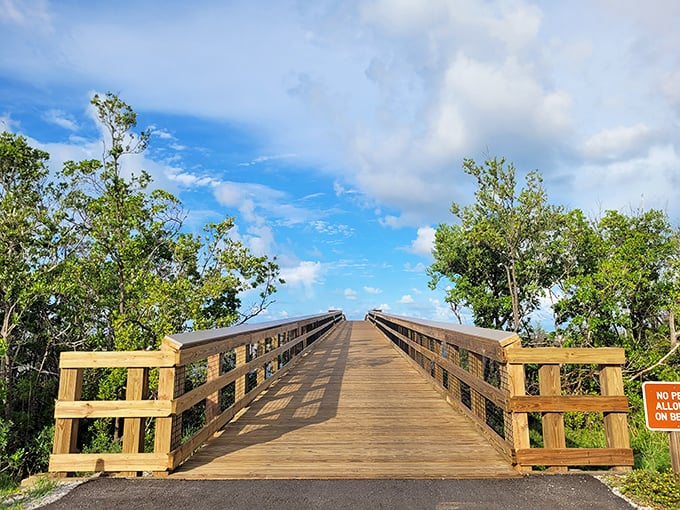 This wooden walkway isn't just a bridge – it's a portal between everyday life and the natural sanctuary waiting on the other side.