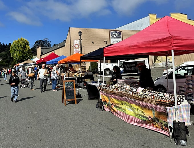 Farmers' markets in Fortuna aren't just shopping—they're social events where the person selling you honey might become your next dinner party guest.