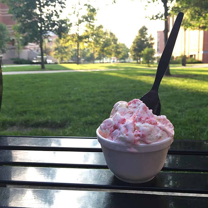 A perfect scoop of strawberry bliss against the campus greenery—nature's backdrop for nature's perfect dessert.