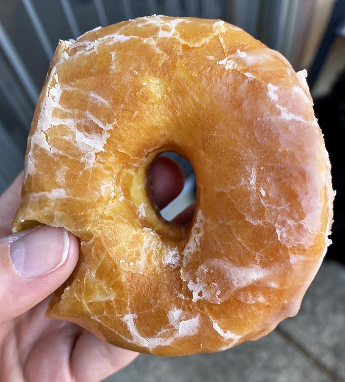 The glazed donut in its natural habitat – halfway to someone's mouth. That crackling sugar shell gives way to pillowy perfection underneath.