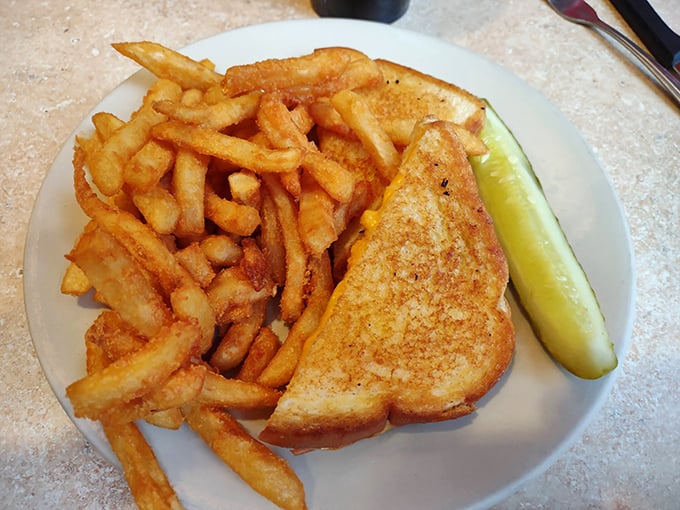 The humble grilled cheese achieves perfection with golden-brown bread, melted cheese, and crispy fries – proof that simplicity, when done right, is revolutionary.