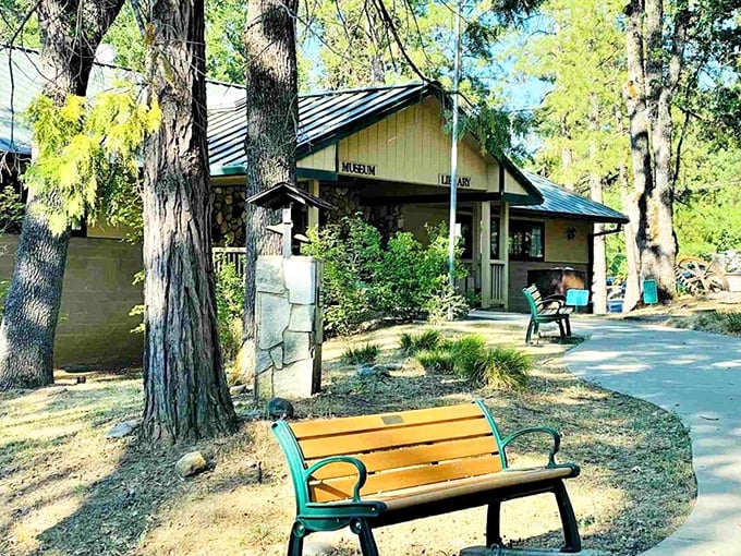 The Groveland Museum doesn't shout for attention—it sits patiently among towering pines, waiting to share tales of gold seekers and mountain pioneers.