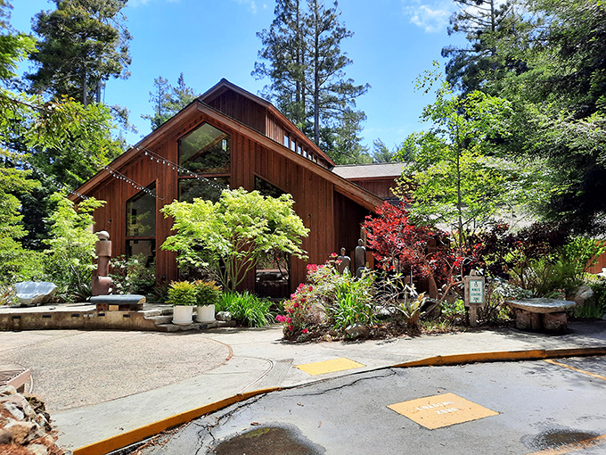 The Gualala Arts Center emerges from the redwoods like a wooden cathedral to creativity, hosting everything from quilting circles to jazz concerts.