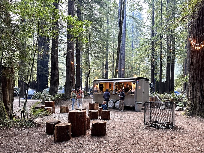 Camping among giants – where s'mores taste better and ghost stories seem more plausible beneath towering redwood sentinels.