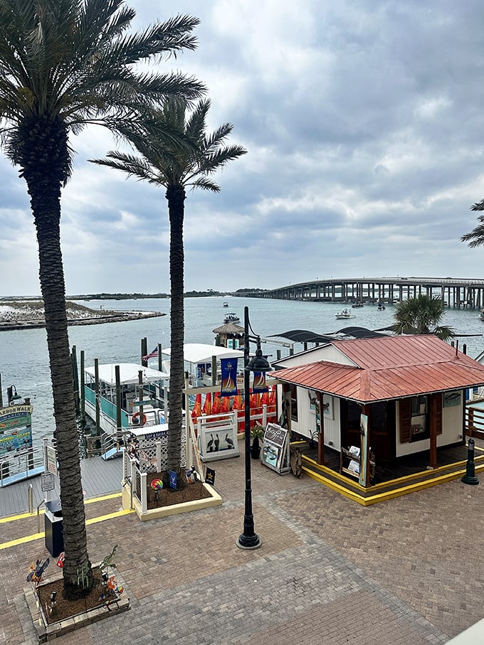 Harbor life in full swing, where palm trees stand guard over boat slips and the promise of fresh seafood is just steps away. 