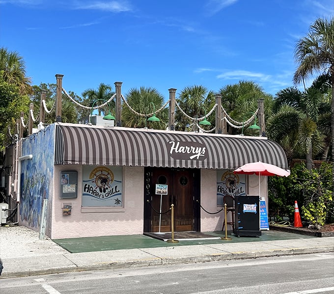 Harry's Grill embodies the island's unpretentious charm – a tiny spot with a mighty reputation among locals.
