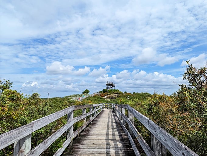 The wooden pathway to Hobe Mountain Tower stretches toward the horizon. At 86 feet above sea level, it's Florida's version of Everest.