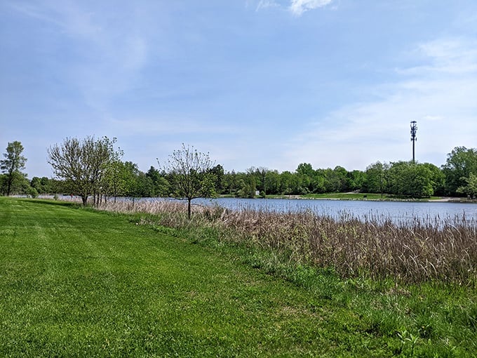Hopkins Lake Park delivers that perfect Michigan blend – where water meets sky, and urban convenience meets natural tranquility.