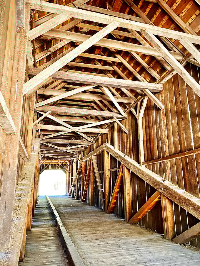 Those triangular trusses aren't just pretty – they're engineering poetry that's been working since before your grandparents were born.