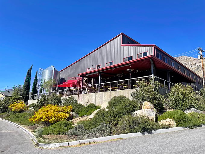 Kern River Brewing Company sits like a modern mountain lodge, where craft beer flows as freely as stories from hikers just off the trail.