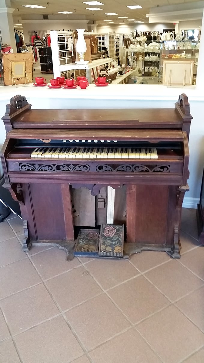 This antique pump organ isn't just furniture—it's a time machine with keys that have played melodies across generations.