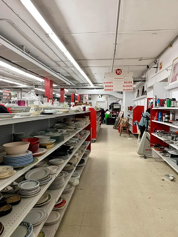 The kitchenware aisle—where your grandmother's Pyrex patterns live alongside forgotten corporate mugs, all waiting for their second act in your kitchen cabinets.