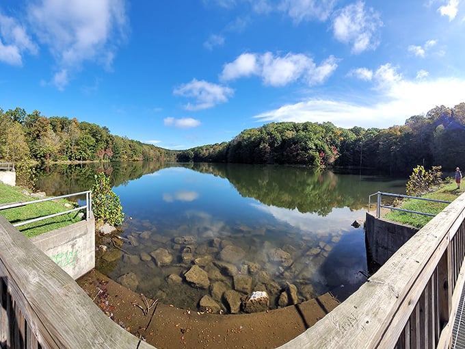 Crystal clear waters reflecting a perfect blue sky—this reservoir view makes you forget you're in the Midwest and not some mountain paradise.