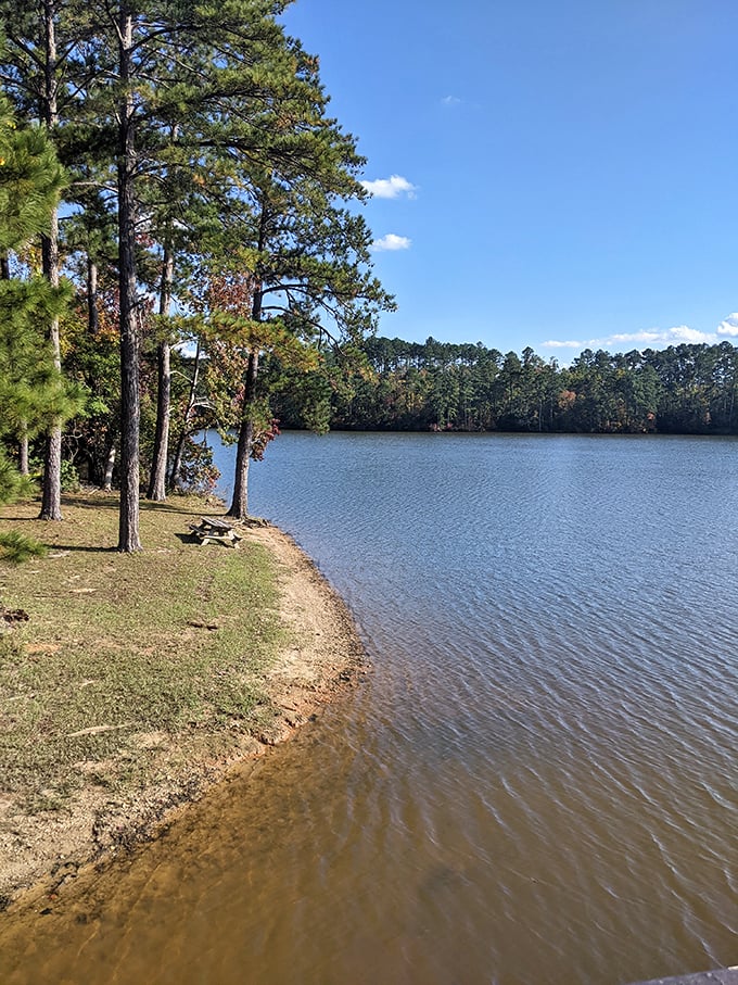 The shoreline here curves like nature's own lazy river, minus the chlorine aftertaste.