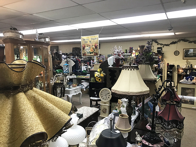 Vintage lamps create islands of warm light throughout the store, illuminating collections that would make any decorator's heart skip with possibility.