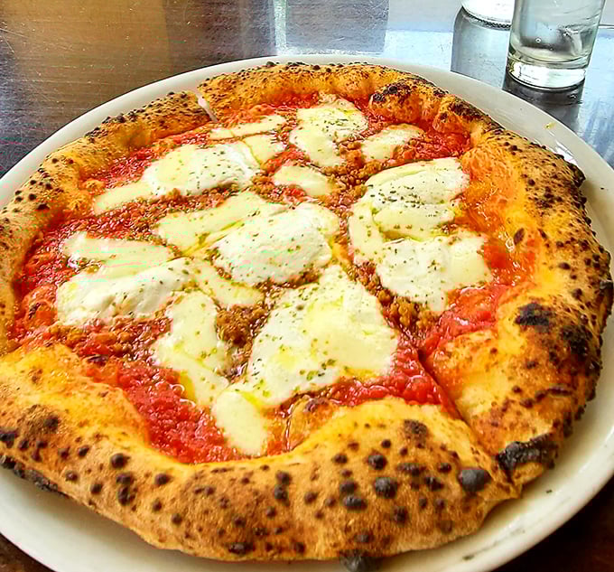 The Margherita pizza in its natural habitat—a simple circle of perfection that proves fewer ingredients, when they're the right ones, create magic.