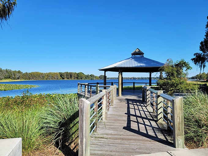 This lakeside gazebo offers front-row seats to nature's daily performance – no tickets required, just bring your sense of wonder.