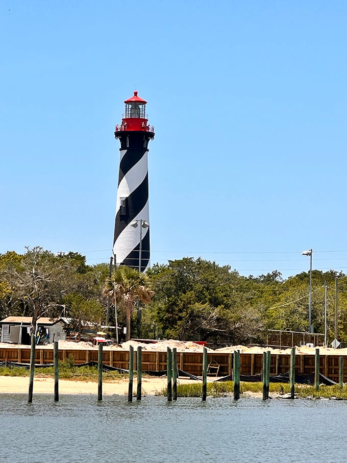 St. Augustine's iconic lighthouse stands like a dapper gentleman in a striped suit, keeping watch over Anastasia's natural treasures.