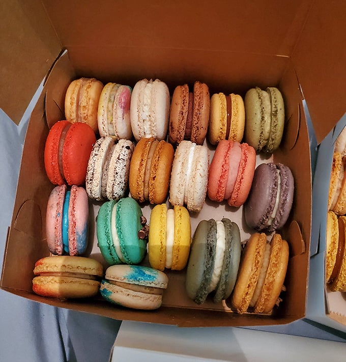 A rainbow of macarons nestled in their box like precious jewels—each one a perfect sandwich of meringue and filling that crumbles just right.
