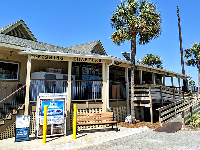 Where fishing dreams begin! This unassuming market holds everything from bait to local knowledge—both equally essential for success.