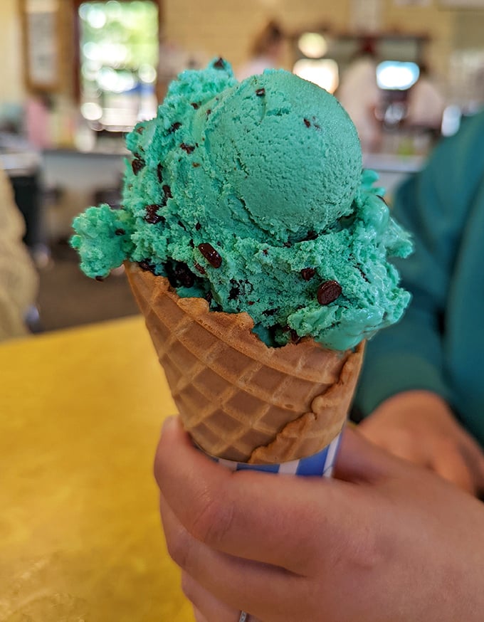 That mint chocolate chip cone isn't just green—it's emerald treasure studded with chocolate gems. The waffle cone's aroma alone is worth the drive.