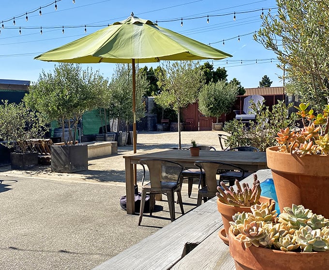 Outdoor seating surrounded by olive trees and succulents—because wine always tastes better with a side of California sunshine and gentle breezes.