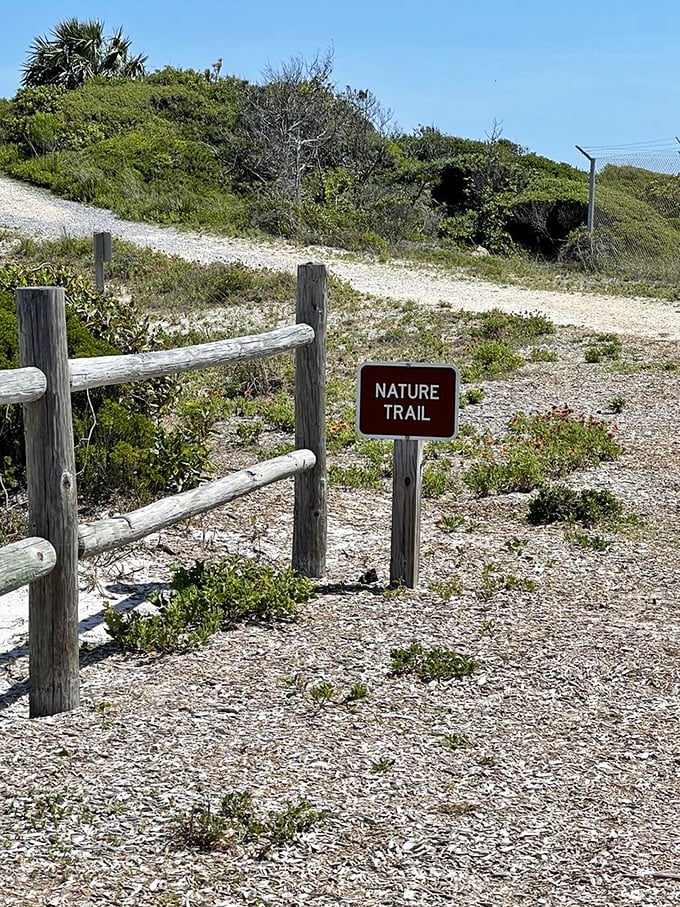 The nature trail sign marks the entrance to Florida's wild side—where the only notifications you'll receive are from chirping birds.
