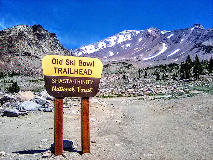 The trailhead where adventures begin and city stress gets left in the parking lot.