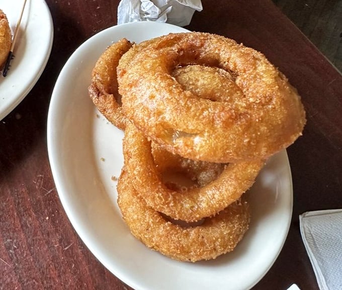 Golden onion rings with that perfect crunch-to-softness ratio. The kind that makes you forget you ever claimed to be "just having a salad."