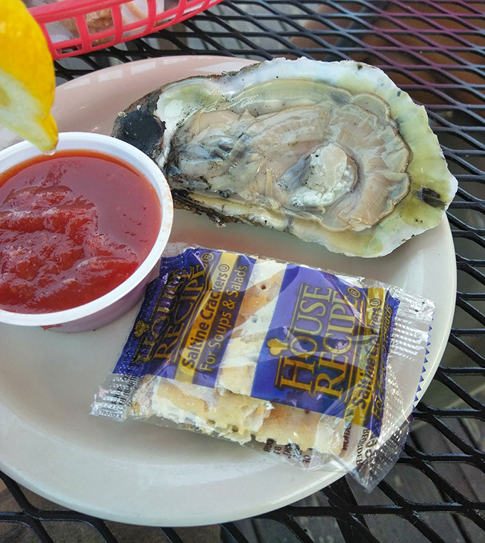 This oyster isn't just served; it's presented – a briny delicacy waiting patiently beside its cocktail sauce companion.