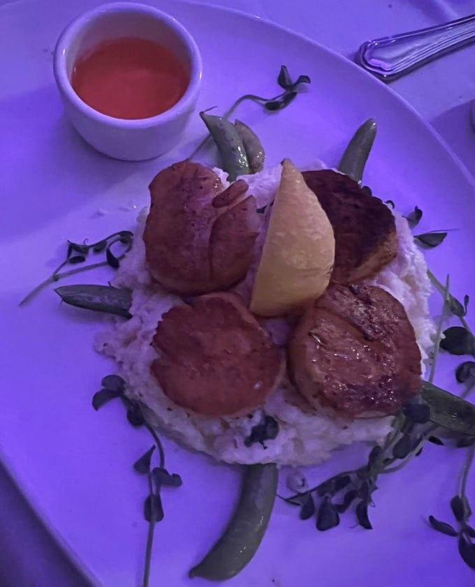 Scallops perched atop creamy risotto like royalty on a cloud. The sauce isn't just poured—it's been introduced with proper ceremony.