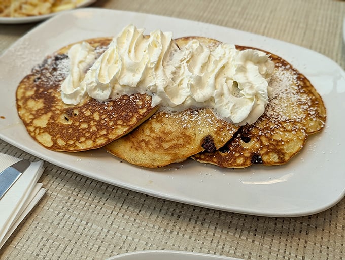 These pancakes don't need to post gym selfies to prove their fluffiness – they're confidently topped with whipped cream and ready for their close-up.