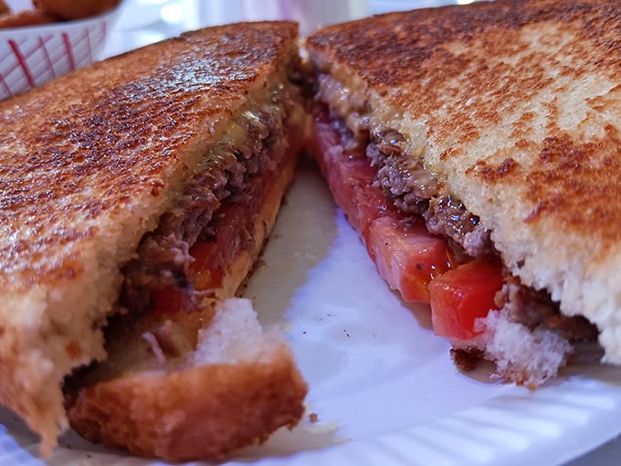 The patty melt reveals its cross-section glory—beef, melted cheese, and grilled bread in perfect harmony, like a sandwich superhero.