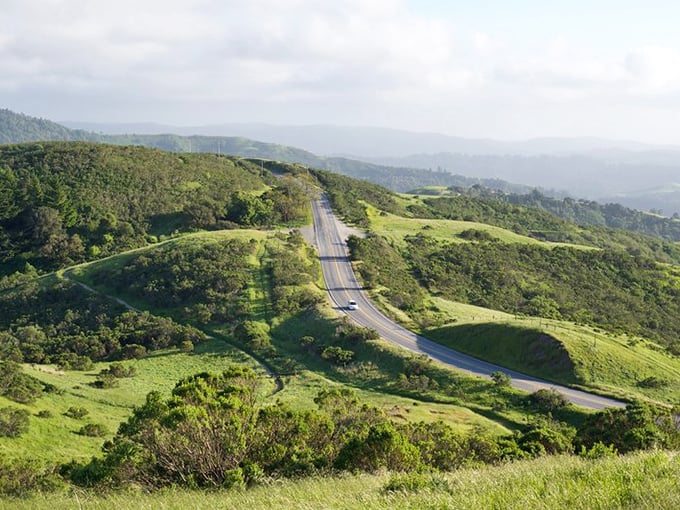 Nature's perfect frame – winding roads cutting through verdant hillsides that seem to roll on forever, like the opening scene of a movie about finding yourself.