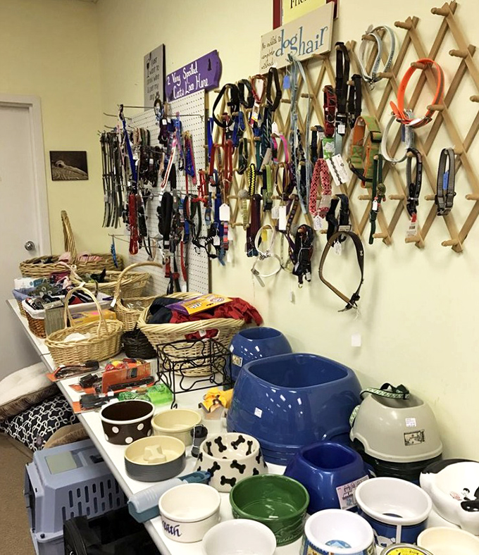 A pet lover's paradise where Fido and Fluffy aren't forgotten. Those leashes have walked a thousand paths before yours—and have tales to tell.