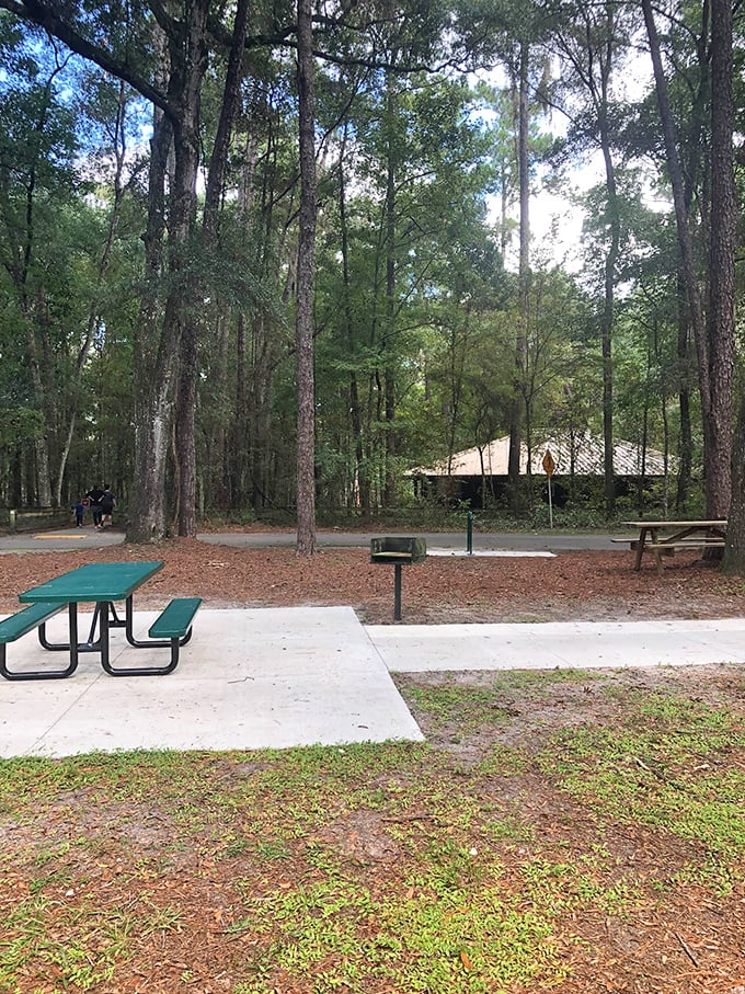 The picnic area provides a shaded respite after your geological adventure. Pack a sandwich – climbing those stairs back up works up an appetite!
