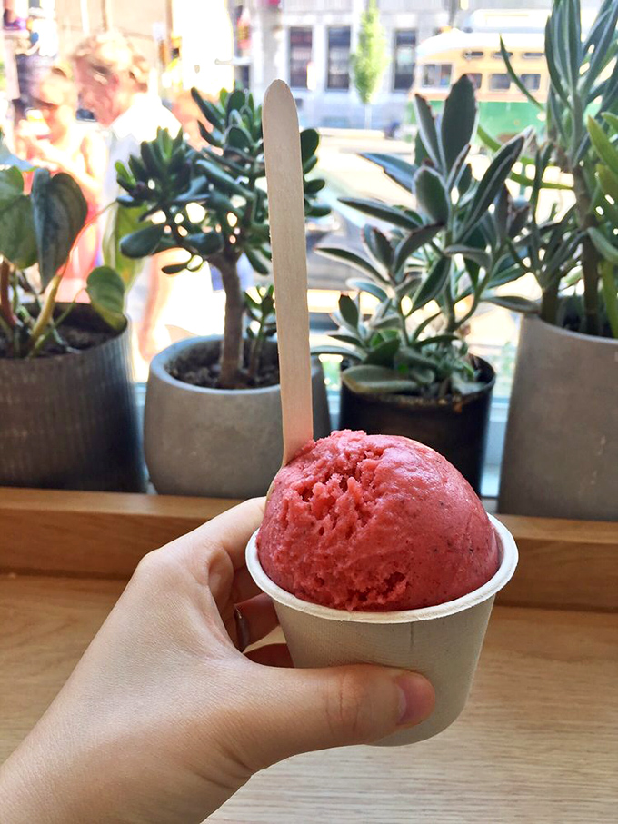 That vibrant raspberry scoop isn't just dessert—it's summer captured in a cup, surrounded by Philadelphia's urban jungle of potted plants.