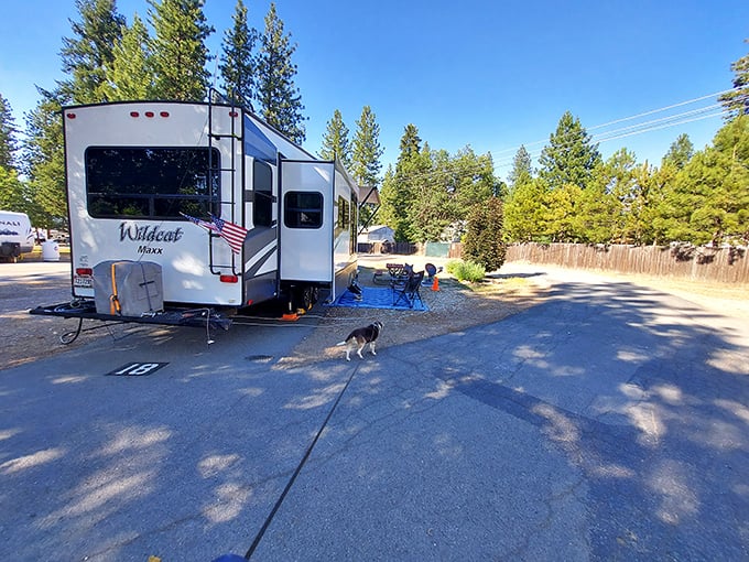 RV living in Quincy means waking up to pine-scented mornings and starlit evenings—nature's version of five-star accommodations.