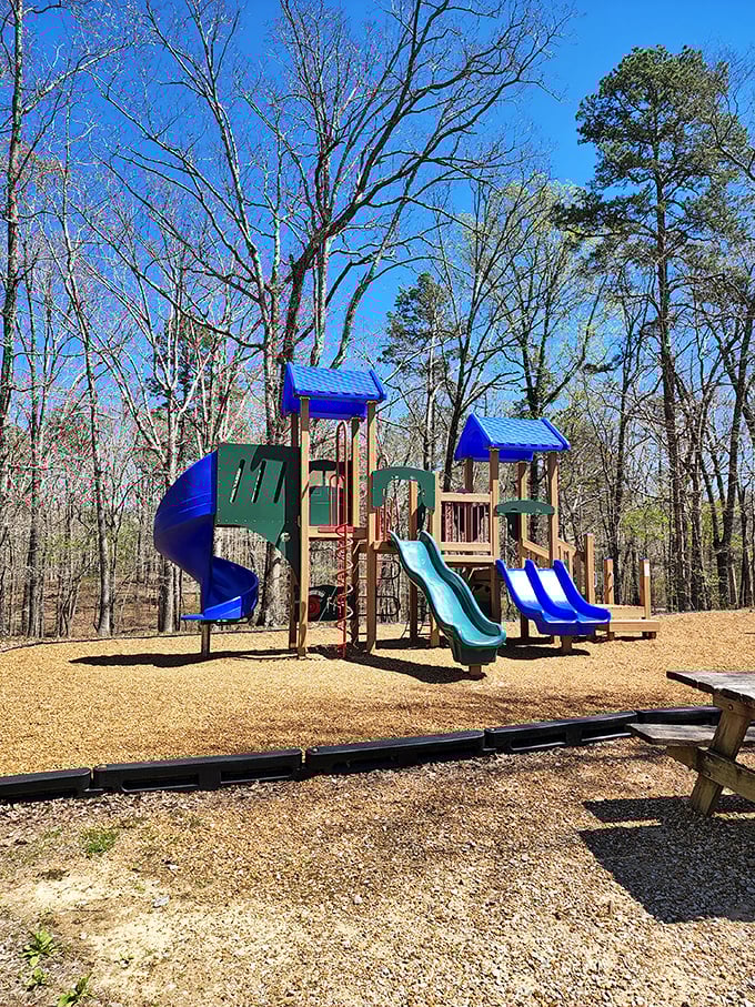 Childhood joy engineered in wood and plastic—this playground sits ready for the kind of adventures that don't require charging cables or software updates.