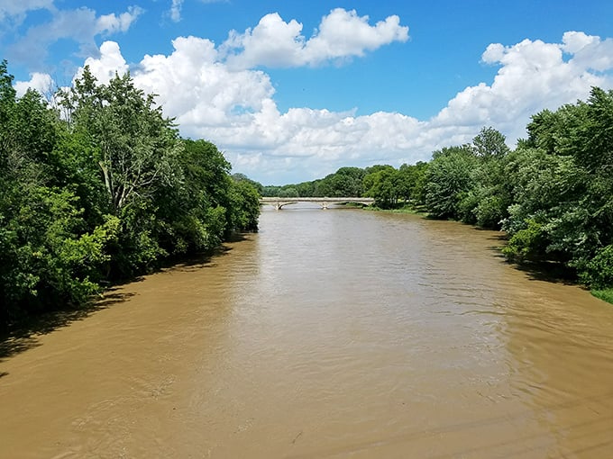 The Portage River flows with the unhurried confidence of someone who knows exactly where they're going and isn't in any particular rush.