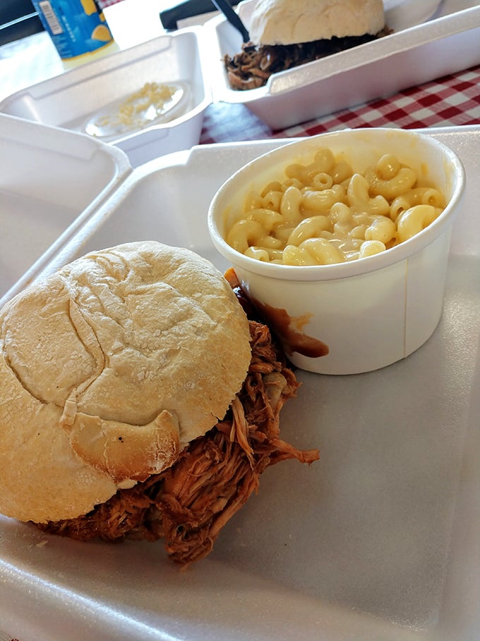 The pulled pork sandwich and mac & cheese combo—proof that sometimes the simplest pleasures are the most profound.