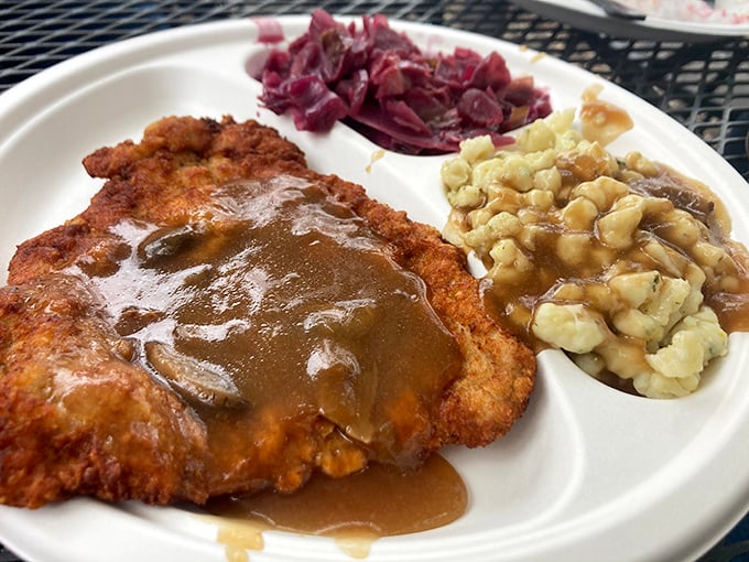 Snitzel that strikes the perfect balance between meat and sauce – Florida's signature meal done absolutely right.