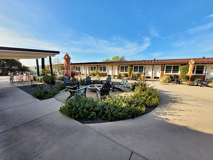 The Skyview's courtyard feels like the secret garden party you've always wanted to host. Desert chic meets laid-back luxury.